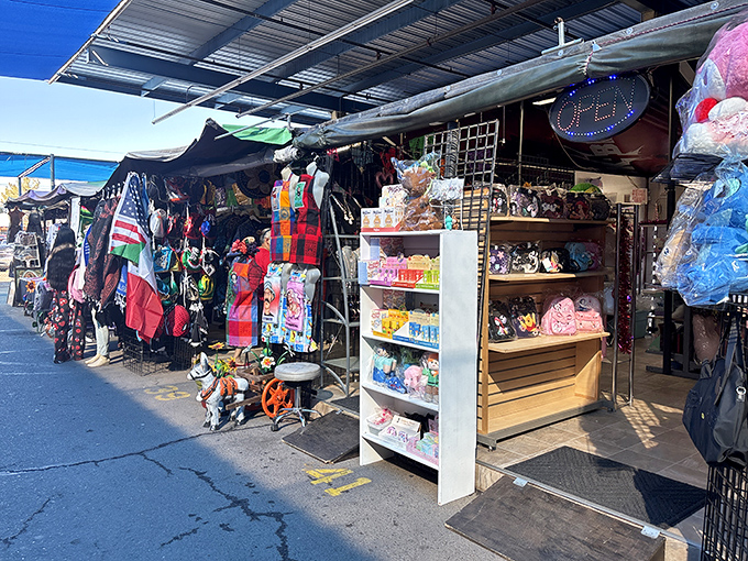 Blue canopies create a desert oasis of commerce where treasure hunters navigate aisles packed with possibilities. The thrill of the unexpected awaits around every corner.