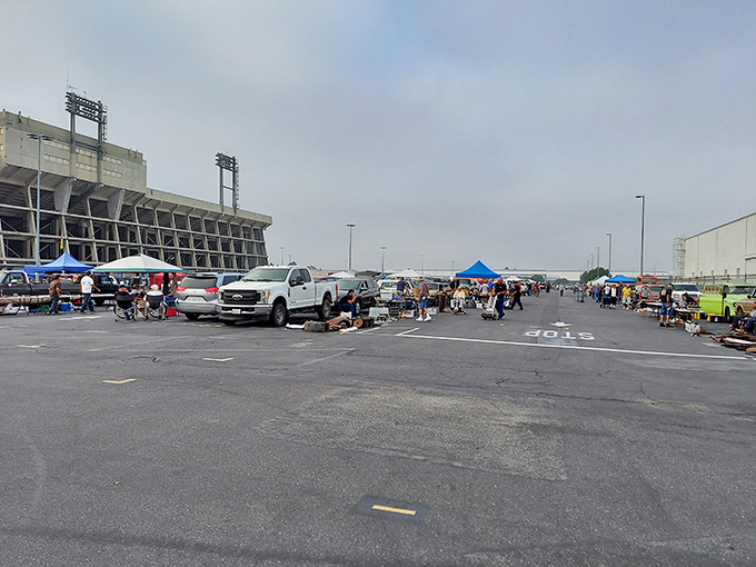 The sprawling Veterans Stadium parking lot transforms into a treasure hunter's paradise, where canopies stretch as far as the eye can see under classic California morning marine layer.