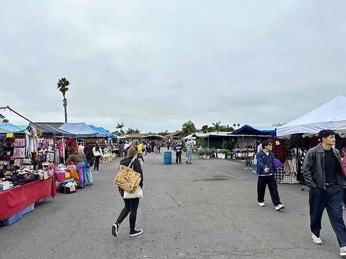 The modern-day treasure hunt begins! Rows of canopies stretch into the distance, each one promising undiscovered gems and unexpected bargains.