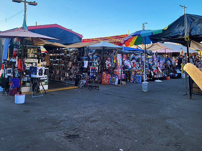 Welcome to organized chaos, where every parking space transforms into someone's personal boutique and dreams come true.