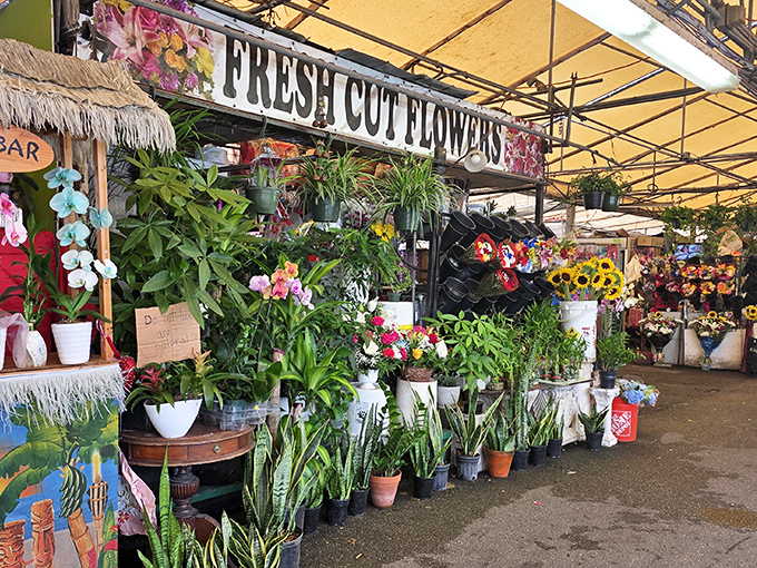 The floral oasis at Fort Lauderdale Swap Shop is a riot of color and fragrance, where plant lovers contemplate whether their car has room for "just one more" green friend.