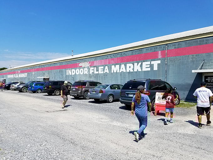 The iconic red stripe of Big D Flea Market beckons treasure hunters like a retail mothership that's landed in North Georgia, promising adventures in bargain hunting.