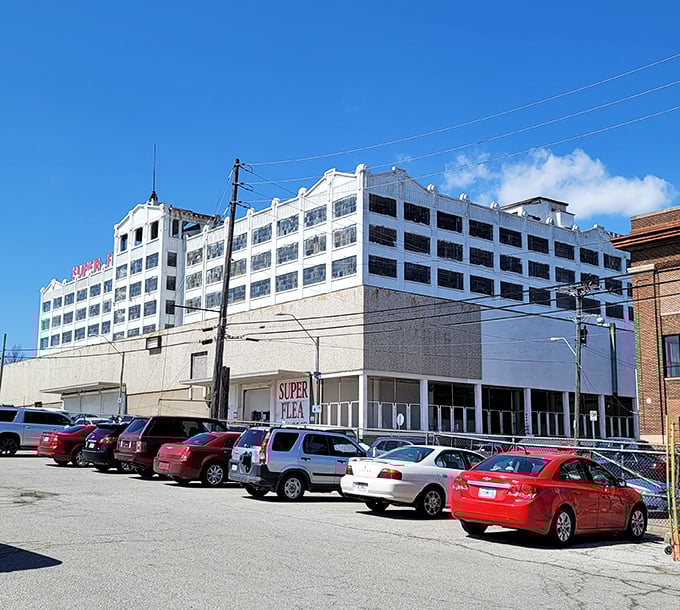 The unassuming superhero of bargain hunting stands ready to welcome treasure seekers. That cartoon flea mascot promises adventure inside those concrete walls.
