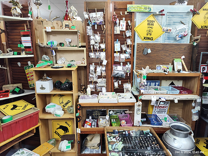 Every shelf tells a story at Miller's Crossing, where animal crossing signs share space with vintage treasures and everyday oddities waiting to find new homes.