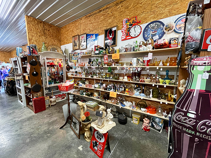 Shelves packed with collectibles that would make any nostalgia enthusiast weak in the knees. Every item has a story waiting to be discovered.