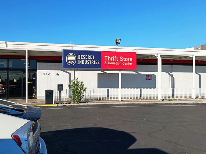 Mesa's answer to the Library of Alexandria, except everything's for sale and touching is not just allowed but encouraged.