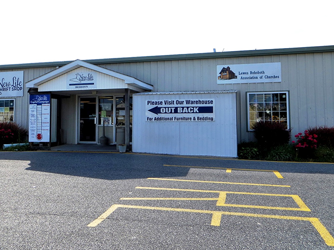 The unassuming exterior of New Life Thrift Shop in Lewes hides a treasure trove that would make any bargain hunter's heart skip a beat.