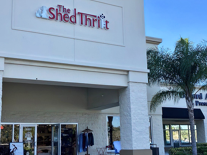 The Shed Thrift's clean white exterior belies the kaleidoscope of treasures waiting inside, like a museum where everything's for sale.