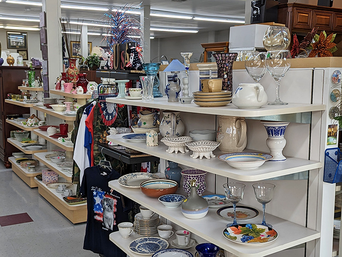 Shelves of possibility! Vintage dishware awaits new homes, each piece holding stories of dinners past and celebrations yet to come.