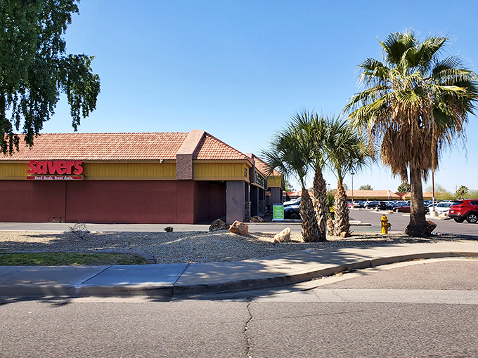 The desert sun casts a golden glow on this Savers location, where palm trees stand guard over treasures waiting to be discovered inside.