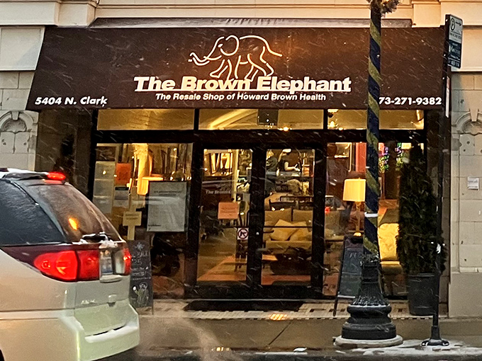 The Brown Elephant's storefront beckons like a portal to treasure-hunting paradise on Clark Street.