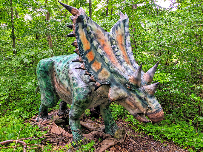This angle reveals a vibrant Triceratops model with its distinctive neck frill and impressive horns catching dappled sunlight through the forest canopy.