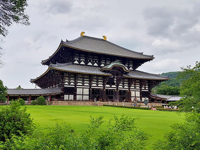 Where South Florida meets the Land of the Rising Sun, and nobody's complaining about the cultural whiplash.