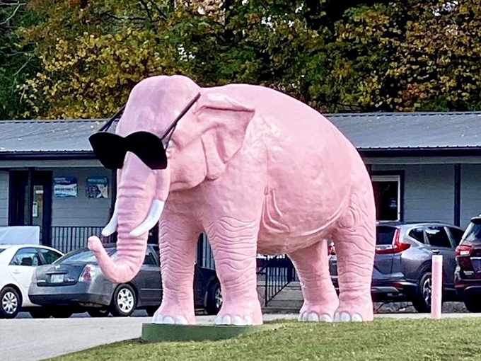 Ellie stands proud in her bubblegum-pink glory, sporting those iconic oversized sunglasses that scream "I'm fabulous" to everyone passing by on Highway 70.