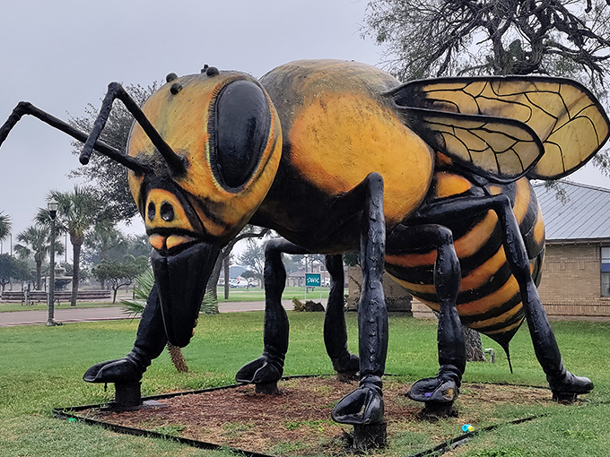 The star of Hidalgo stands tall and proud. This 2,000-pound fiberglass behemoth turns what could have been a PR nightmare into a tourist's delight.