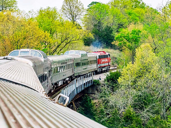 The silver serpent winds through Missouri's emerald landscape, crossing trestles that seem suspended between yesterday and today. Nature's theater viewed from vintage steel.