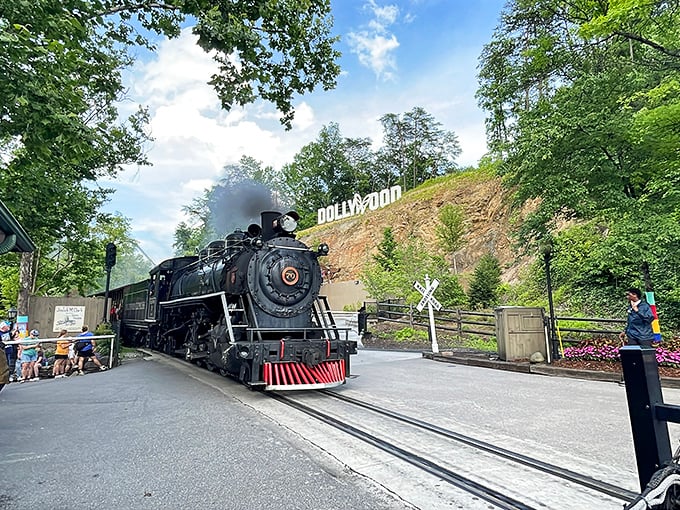 The magnificent Dollywood Express steams into the station, announcing its arrival with a cloud of smoke and that unmistakable whistle that makes everyone's inner child leap with joy.
