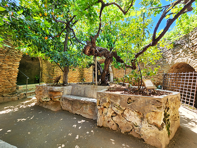 Trees reaching skyward from stone planters&mdash;nature finding a way even underground. Baldassare's genius was creating spaces where life thrives beneath the earth.