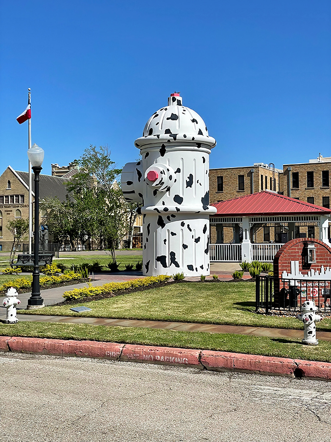 Behold the Dalmatian of downtown infrastructure - a fire hydrant that finally got the respect it deserves!