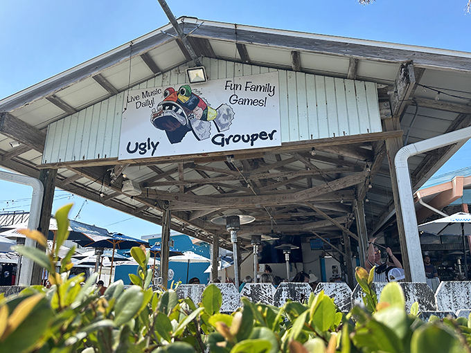 With its sunny colors and cheeky name, The Ugly Grouper serves up Florida&rsquo;s trademark mix of breezy charm and wink-at-yourself humor&mdash;proof that &lsquo;ugly&rsquo; can be downright irresistible.