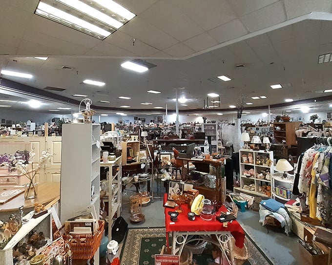 It's a delightful labyrinth, where every forgotten treasure is just waiting for its next chapter.