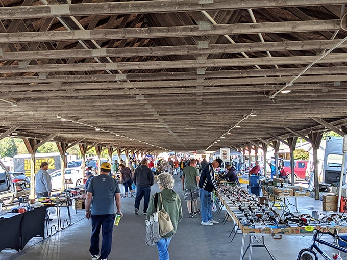 Treasure hunting at its finest! Rows of cardboard boxes filled with potential gems await the curious shopper at Rogers Flea Market.