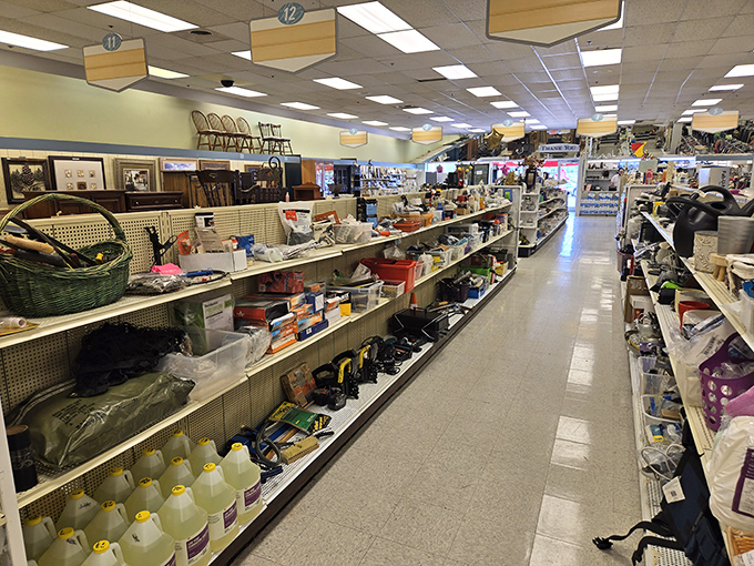 Treasure hunting begins in these well-stocked aisles where one person's castoffs become another's prized possessions. Every shelf holds potential discoveries.