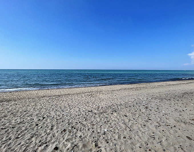 Where the Midwest meets the coast! Kemil Beach stretches out with golden sands that rival any ocean shoreline.