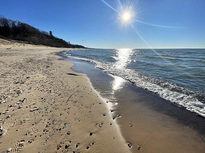 Morning light dances across Lake Michigan's surface, creating a shimmering pathway that seems to lead straight to paradise.