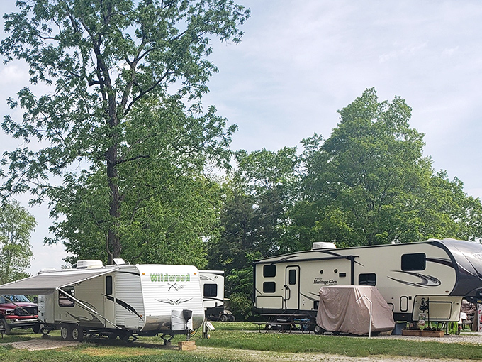 Spacious RV sites nestled among towering trees offer that perfect blend of privacy and community. Home sweet temporary home!