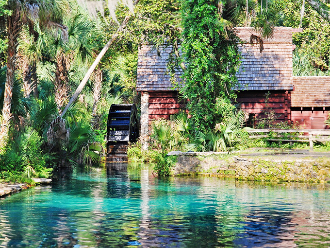 Nature's infinity pool! The crystalline waters of Juniper Springs reflect the surrounding palms and historic mill house in perfect symmetry.