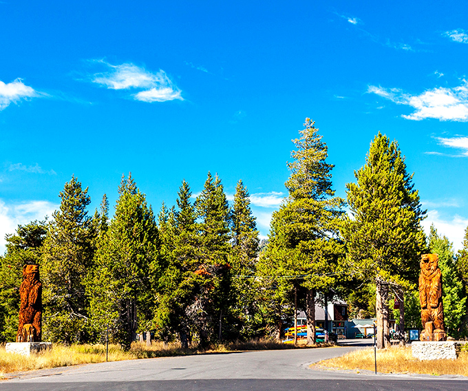 Welcome to Arnold, where carved wooden sentinels stand guard at the town entrance, silently promising adventures among the towering pines.