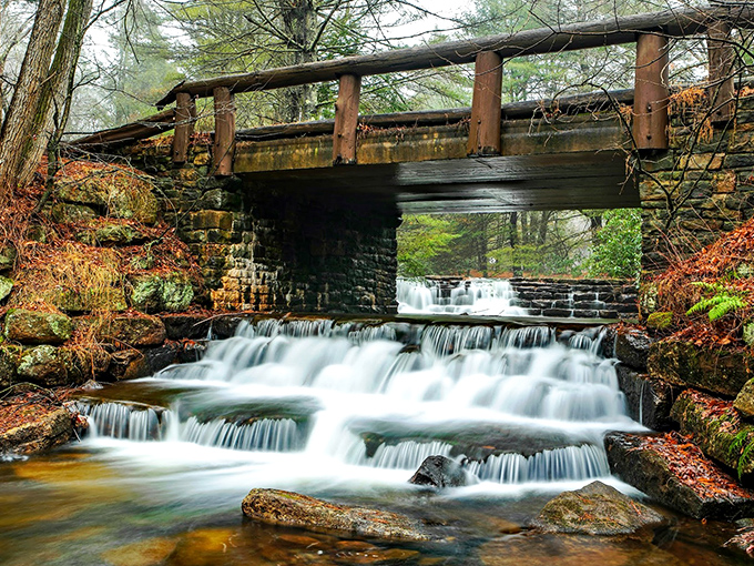 Water cascades beneath a rustic bridge in perfect harmony. Nature's symphony plays its most soothing melody here, no headphones required.