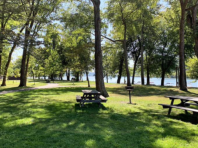 Blue Hill rises majestically above the Susquehanna River, creating a postcard-worthy backdrop that makes amateur photographers look like professionals.