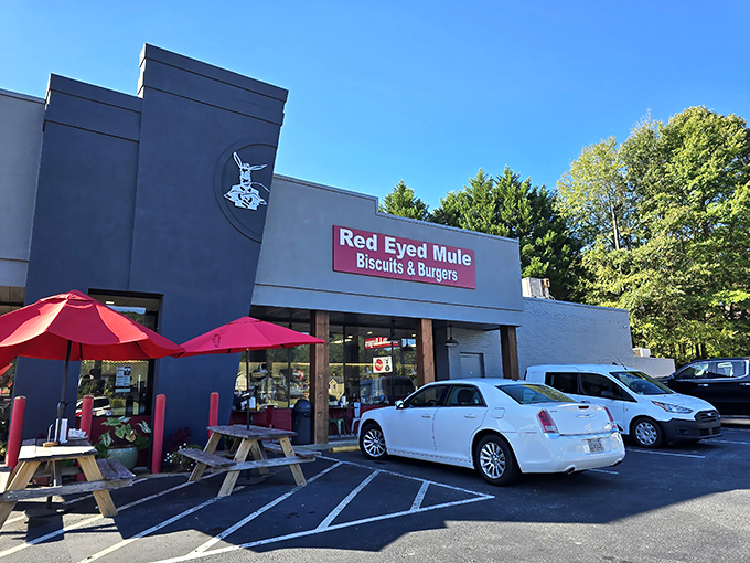The unassuming exterior of The Red Eyed Mule hides culinary treasures within. Like finding a diamond in a strip mall, this Marietta gem promises biscuit nirvana.