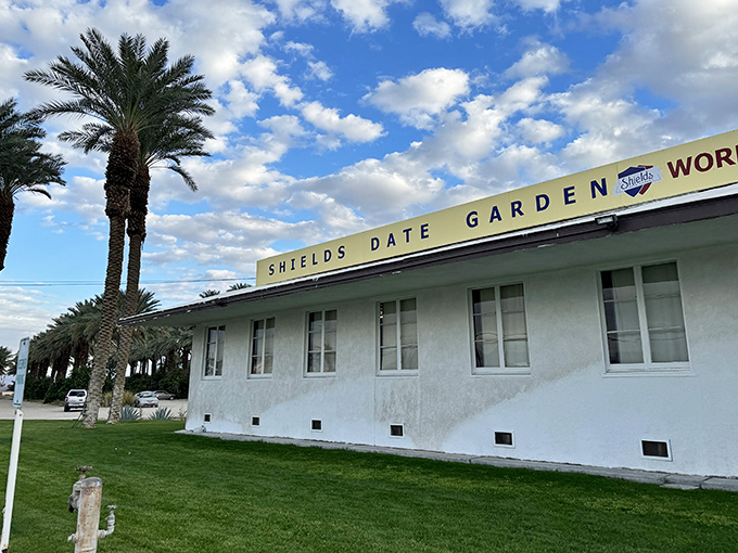 The iconic Shields Date Garden welcomes visitors with its vintage charm and towering palm trees&mdash;a true desert oasis where culinary magic happens.