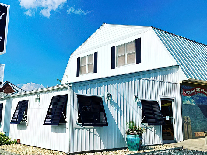 The pristine white clapboard exterior of Ocean Odyssey stands like a beacon for seafood lovers, promising maritime treasures within its unassuming walls.