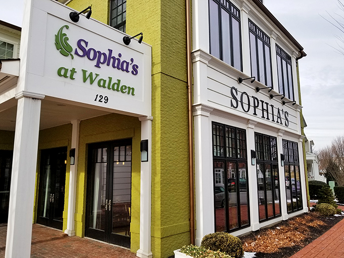 The cheerful lime-green exterior of Sophia's at Walden beckons like a culinary lighthouse, promising delicious refuge from ordinary dining experiences.