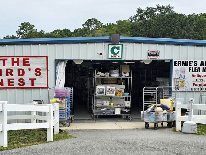 The entrance to "The Bird's Nest" promises treasures within, like finding the doorway to Narnia—if Narnia sold vintage fishing lures and homemade jam.