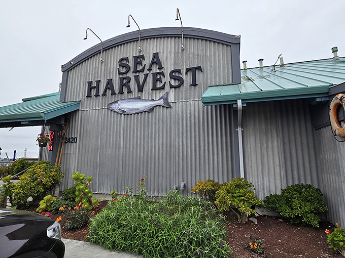 That iconic fish silhouette promises what lies within&mdash;seafood so fresh it might still be checking its calendar.