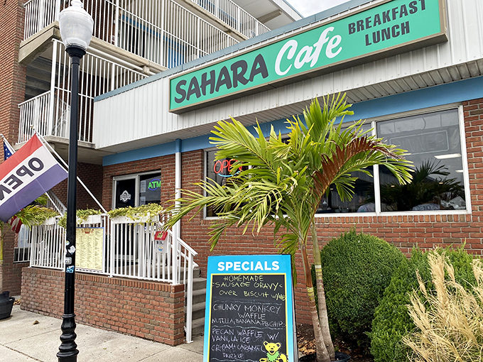 The green sign beckons like a breakfast lighthouse on Baltimore Avenue. Sahara Cafe's unassuming exterior hides Ocean City's morning treasure.