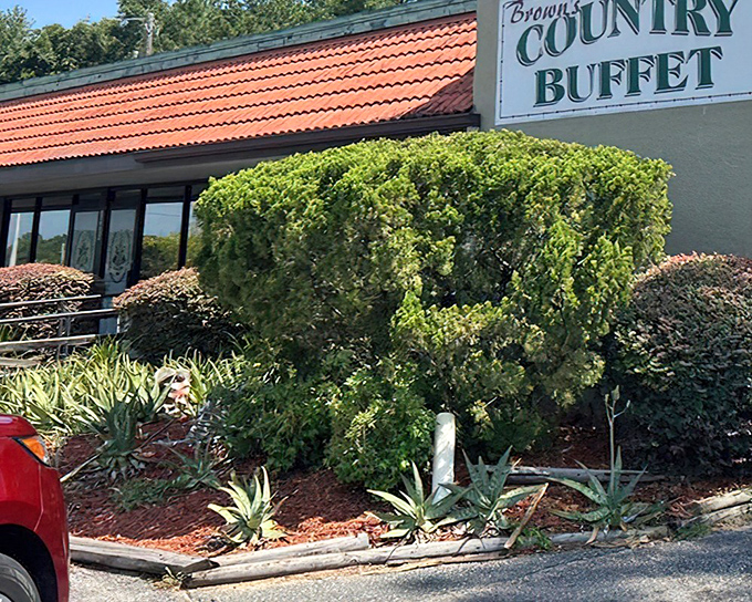 The unassuming exterior of Brown's Country Buffet hides a culinary treasure. Like finding a $20 bill in old jeans, what's inside will make your day infinitely better.
