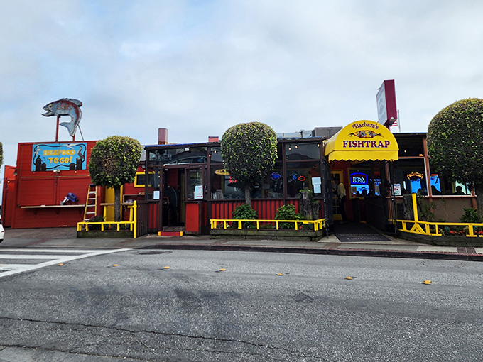With its cheerful yellow awning and iconic fish sign, Barbara's Fishtrap looks like it was plucked from a New England postcard and dropped onto California's coastline.