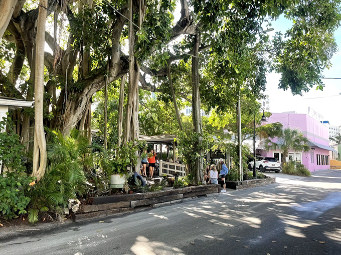The magnificent banyan tree standing guard over Owen's Fish Camp creates nature's perfect canopy for this hidden Sarasota gem.