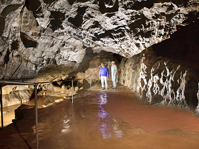 Nature's own yellow brick road sign points the way to underground adventures. No ruby slippers required for this journey!
