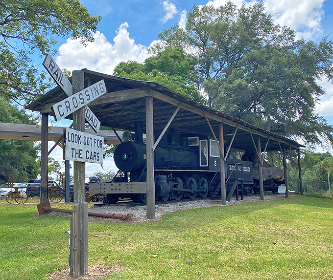 All aboard nostalgia! This preserved locomotive stands as a mighty reminder of when the railroad was Florida's lifeline, not just a Disney attraction.