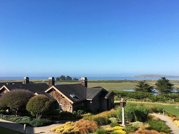 Coastal tranquility at its best &mdash; this serene seaside retreat offers sweeping views of the ocean, peaceful wetlands, and charming cottages nestled in lush greenery.
