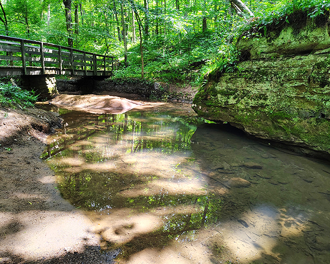 Where tranquility meets geology: this serene stream carves through ancient rock formations, creating a peaceful sanctuary that whispers stories of prehistoric Pennsylvania.