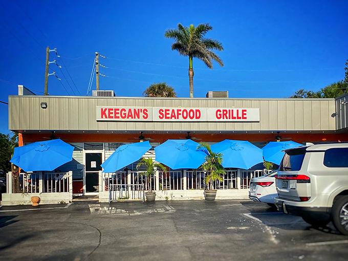Those blue umbrellas aren't just for shade &ndash; they're beacons calling hungry souls to seafood paradise.