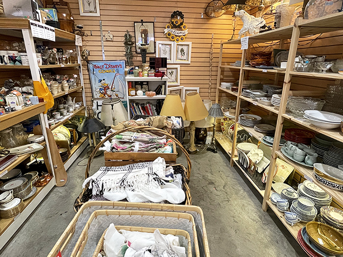 Treasure hunting paradise: Shelves packed with dishware, lamps, and linens create narrow pathways that feel like archaeological digs for modern treasures.